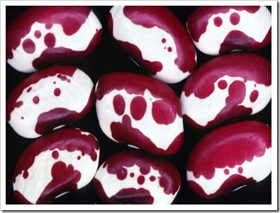 Little Black Home: A Style to Call My Own: Cuisine